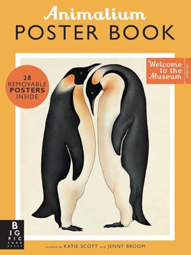 Animalium Poster Book - 28 Removable Posters Inside, Jenny Broom - les ...