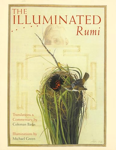 The Illuminated Rumi - les Prix d'Occasion ou Neuf