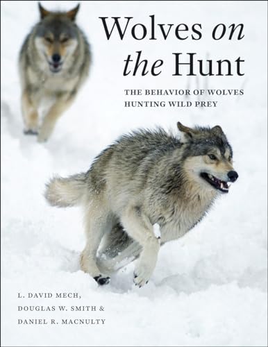 Wolves on the Hunt - The Behavior of Wolves Hunting Wild Prey, L. David ...
