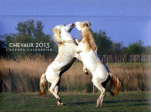 L'agenda-Calendrier Chevaux 2013, Hugo & Cie - les Prix d'Occasion ou Neuf