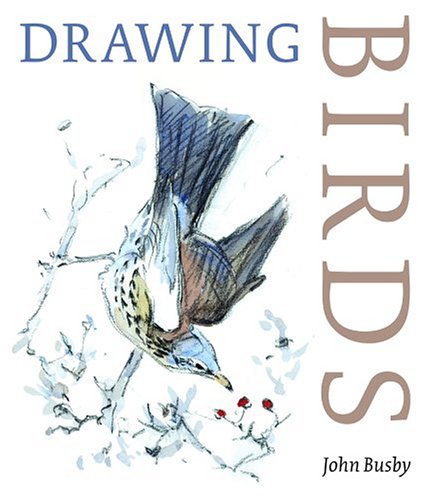 Drawing Birds, John Busby - les Prix d'Occasion ou Neuf