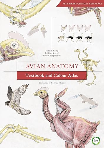 Avian Anatomy - Textbook and Colour Atlas, Horst Erich Konig - les Prix ...